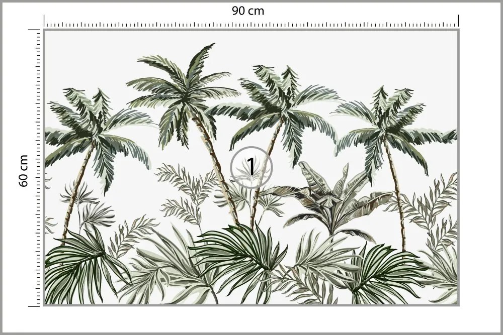 Fototapeta Palmy A Tropické Rostliny Omyvatelný vlies 300x210