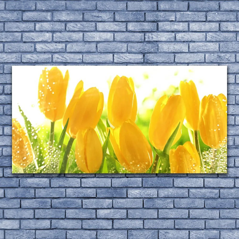 akrylový obraz Tulipány Květiny Rostlina 120x60 cm