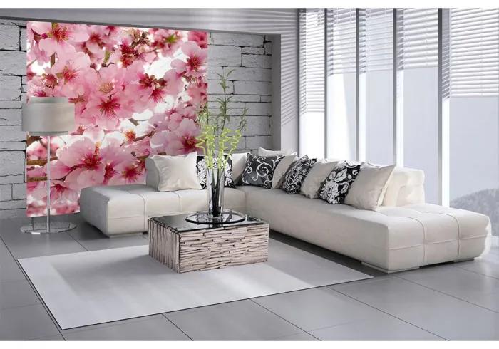 DIMEX | Vliesová fototapeta na zeď Květy jabloní MS-3-0108 | 225 x 250 cm | růžová, bílá, béžová