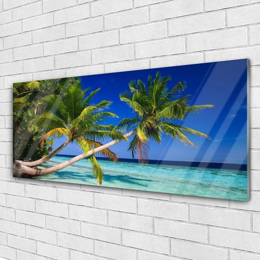 akrylový obraz Palma Strom Moře Krajina 125x50 cm