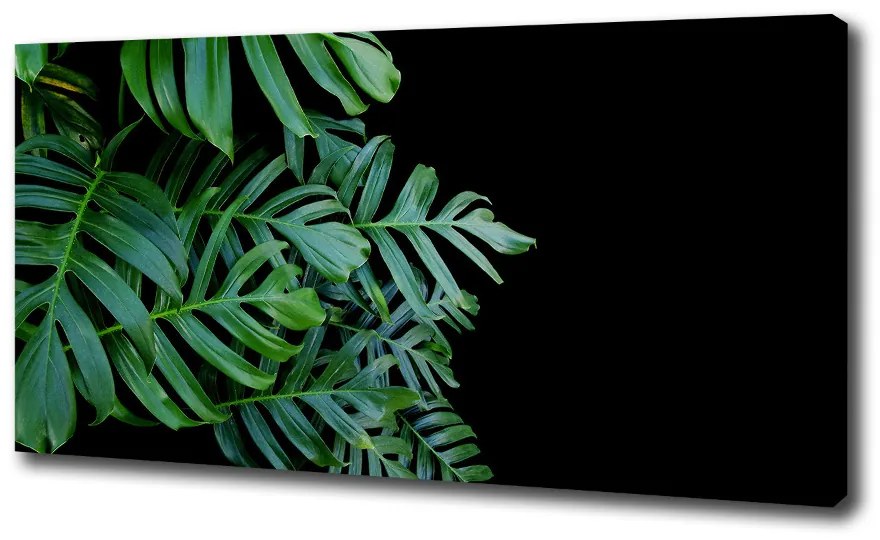 Wallmuralia Foto-obraz canvas do obýváku Monstera 100x50