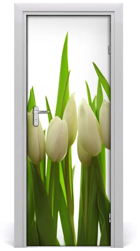 Fototapeta na dveře Bílé tulipány 75x205 cm