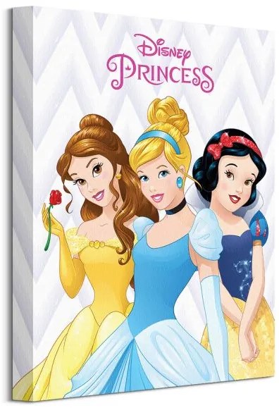 Art Group Obraz na plátně Disney Princezny (Bella, Popelka and Sněhurka) 30x40cm