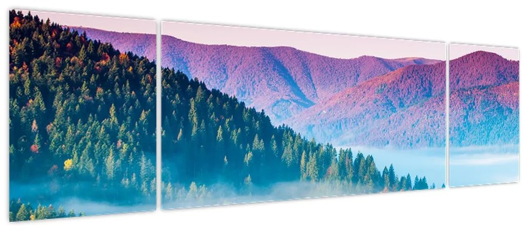 Obraz - Panorama 2 (170x50 cm)