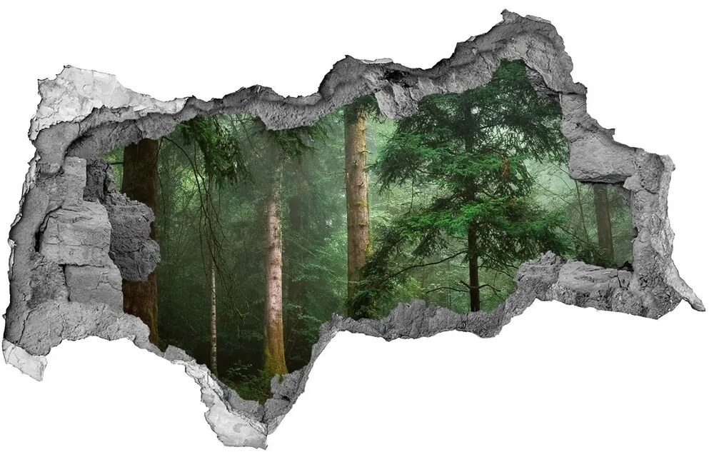 Wallmuralia Díra 3D foto tapeta nálepka Mlha v lese 95x73 cm