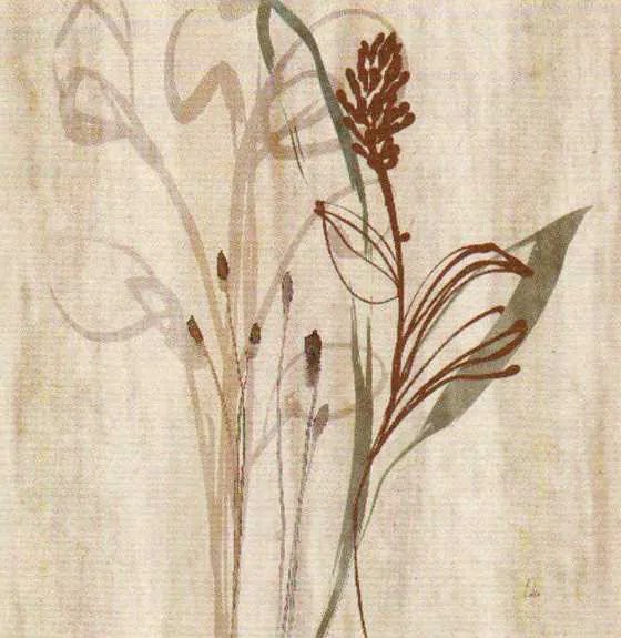 ART-STYLE Obrázek 18x18, rostlina II., rám sv. dub - červotoč