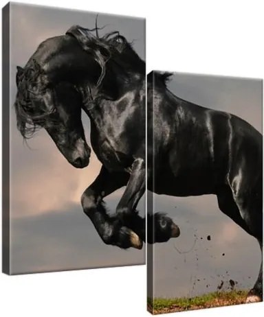 Tištěný obraz Silný černý kůň 60x60cm 2038A_2A