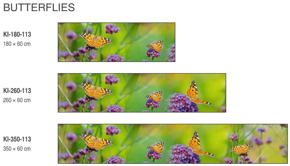 DIMEX | Fototapeta do kuchyně Motýli KI-260-113 | 260 x 60 cm | zelená, fialová, oranžová