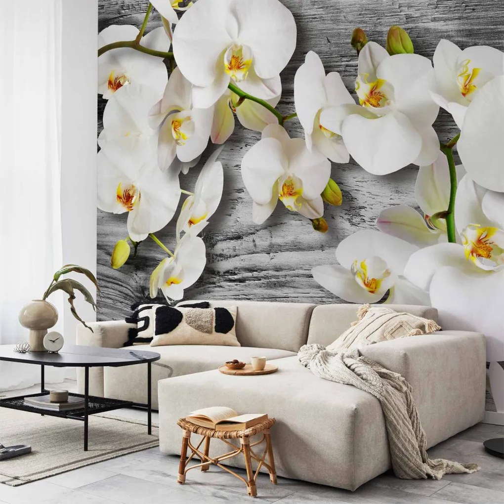 Fototapeta Chladivé orchideje - bílé květiny na pozadí dřeva v odstínech šedi