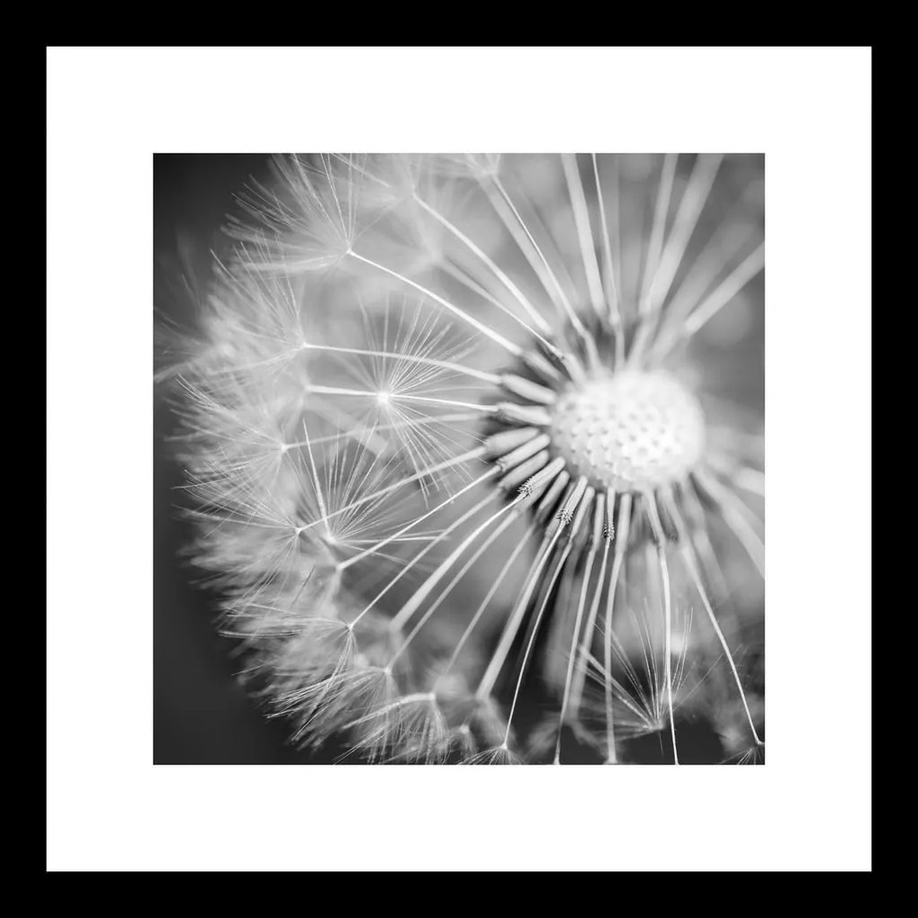 XXXLutz OBRAZ NA SKLE, květiny, 30/30/1,40 cm Euroart - Skleněné obrazy - 005721161802