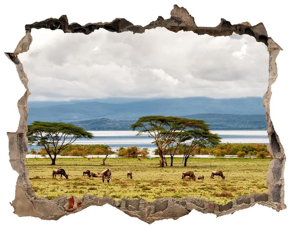 Wallmuralia Nálepka fototapeta 3D výhled Jezero Naivasha 95x64 cm