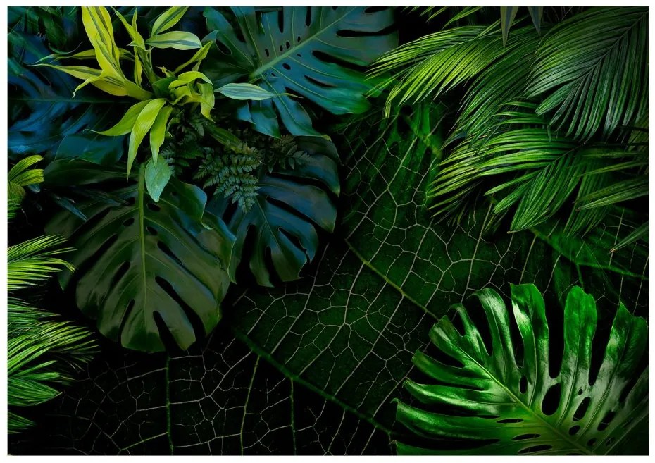Fototapeta - Temná džungle 400x280 + zdarma lepidlo