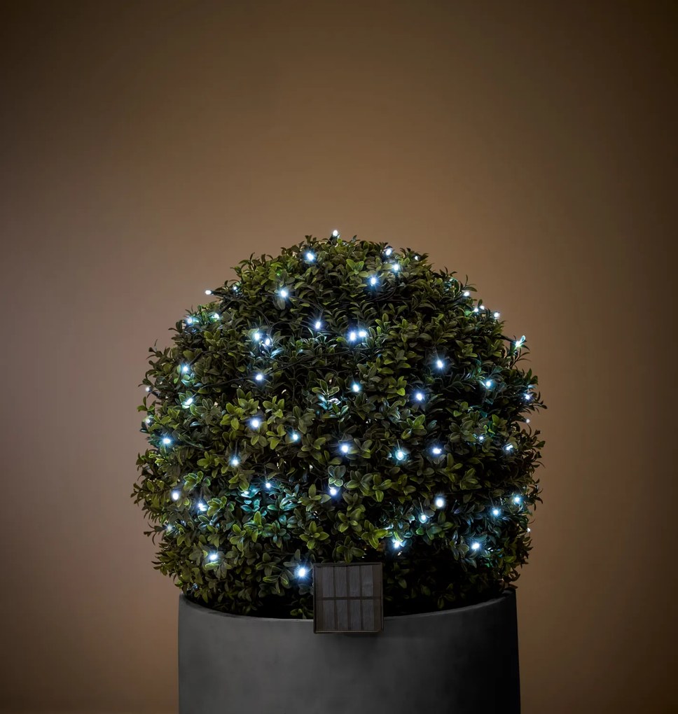 Livarno® Solární světelný LED řetěz, 100 LED (studená bílá)