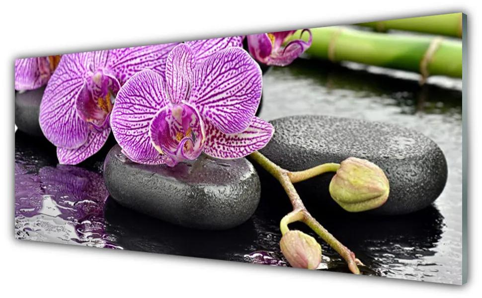 Plexisklo-obraz Kameny Zen Orchidej Lázně 125x50 cm