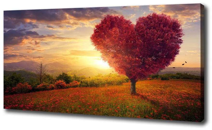 Wallmuralia Foto obraz na plátně Strom pole srdce 100x50 cm