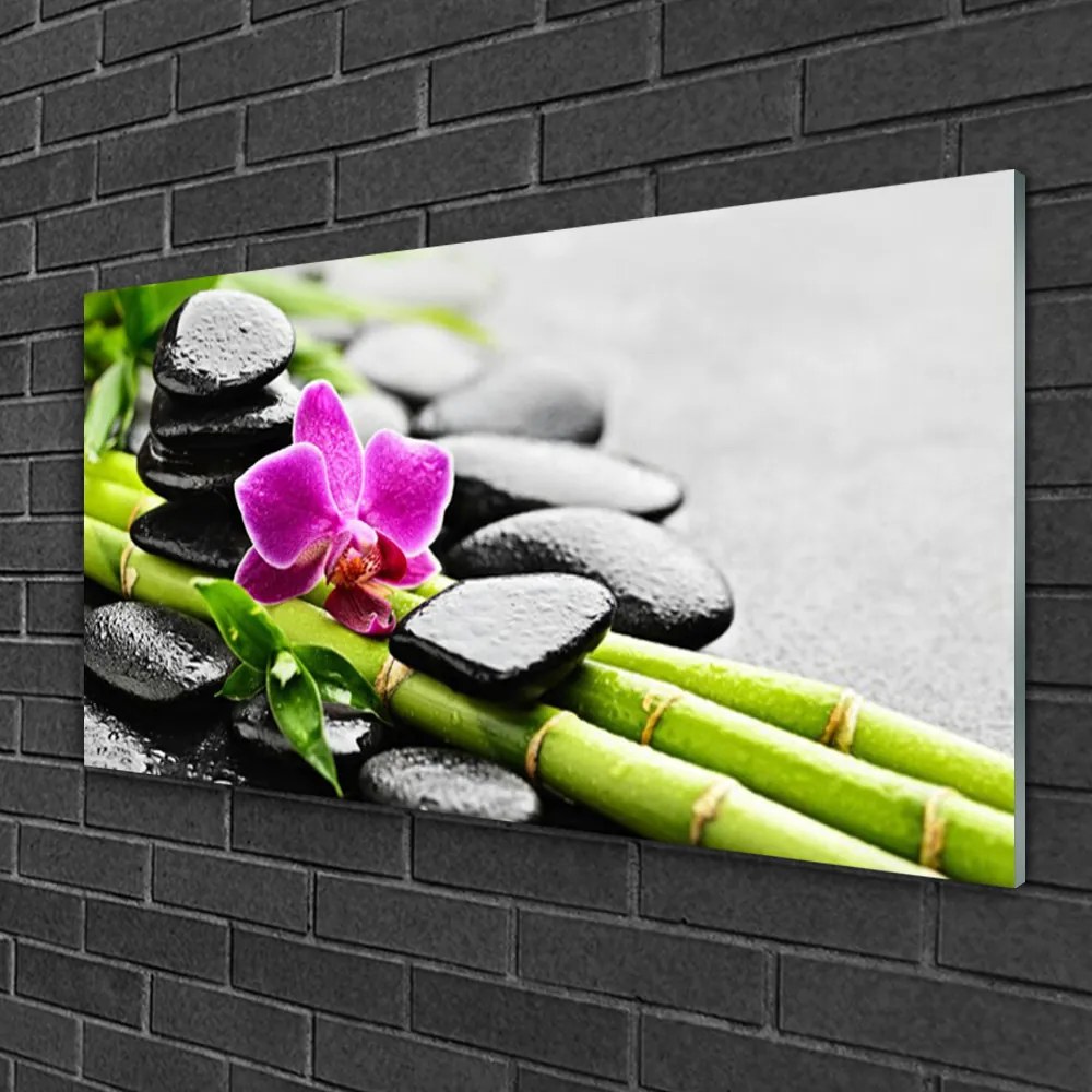 Obraz na skle Bambus Květ Kameny Umění 125x50 cm
