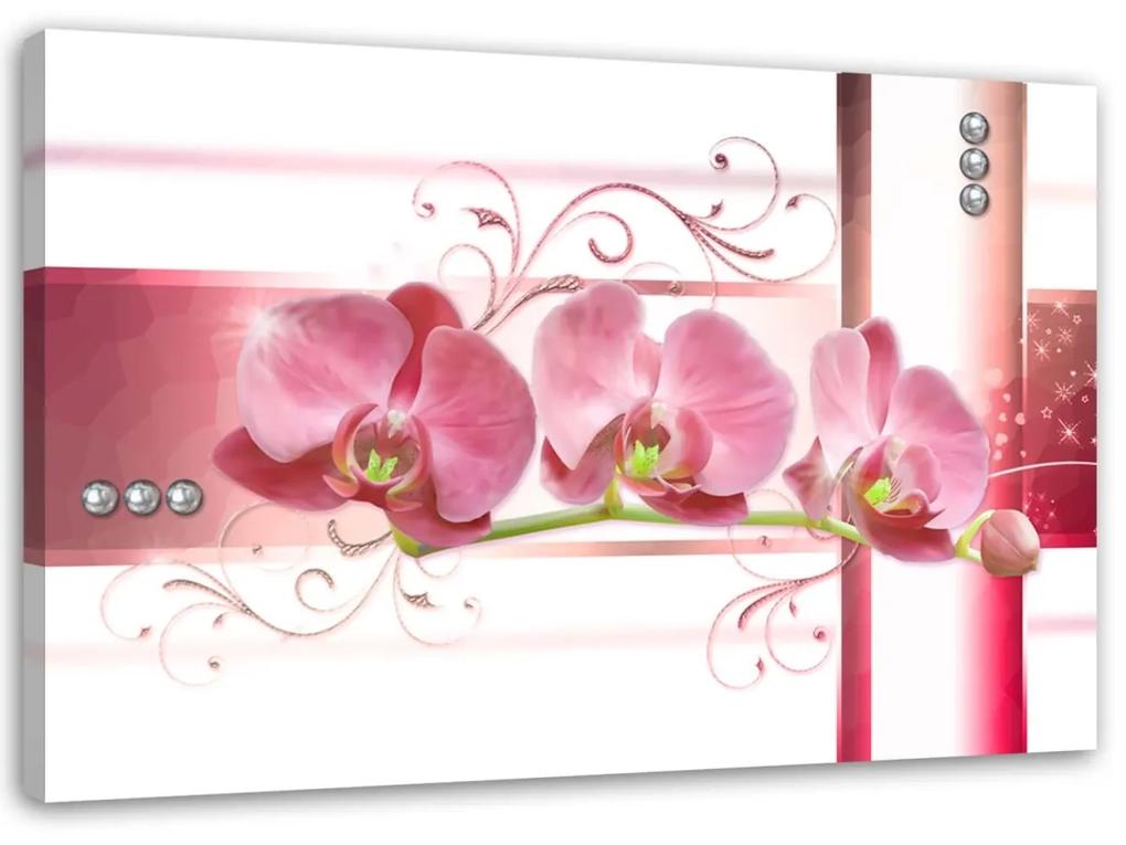 Obraz na plátně Růžový květ orchideje - 120x80 cm