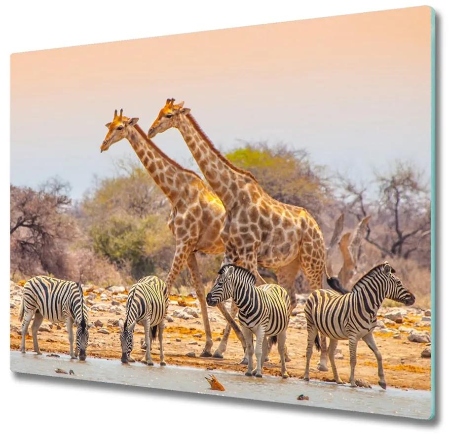 Skleněné deska do kuchyně Žirafy a zebry 60x52 cm