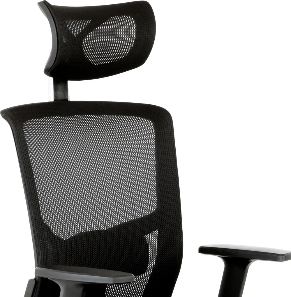 Ergonomická kancelářská židle RELORA - černá síťovina
