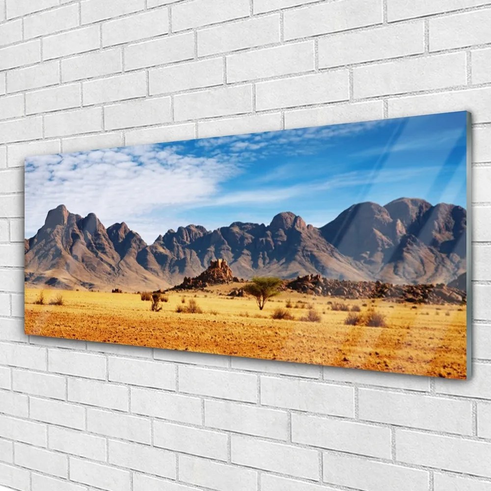akrylový obraz Poušť Hory Krajina 125x50 cm