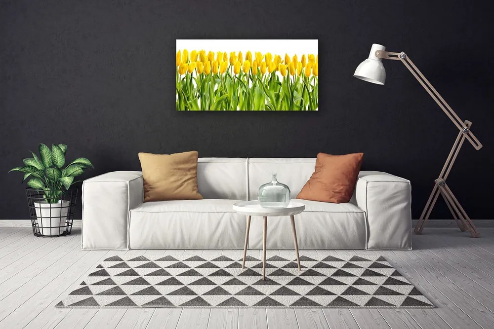 Obraz na plátně Tulipány Květiny Příroda 120x60 cm