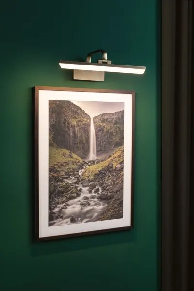 Paulmann 95569 - LED/9,5W Obrazové svítidlo RENAN 230V 40 cm mosaz