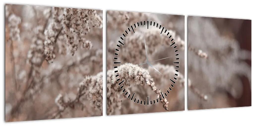 Obraz rostlin (s hodinami) (90x30 cm)
