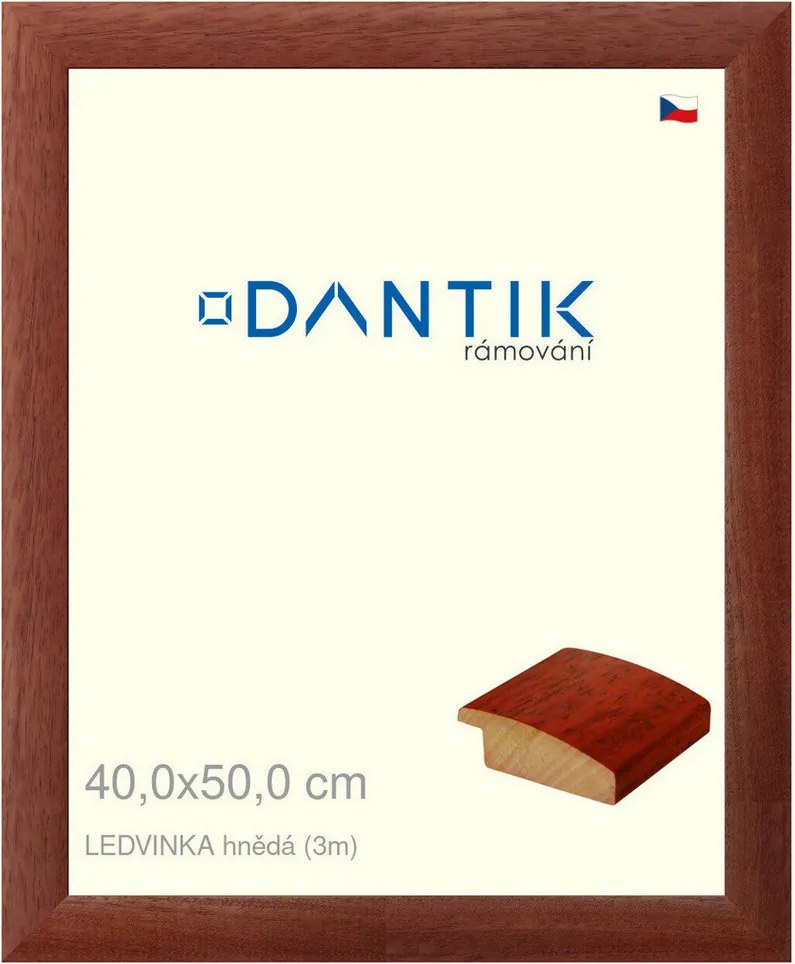 DANTIK rámeček 40x50 | LEDVINKA hnědá (Plexi Čiré)