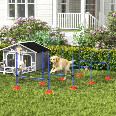 PawHut 4dílná sada agility pro psy se 4 překážkami a přepravní taškou pro trénink skákání, modrá