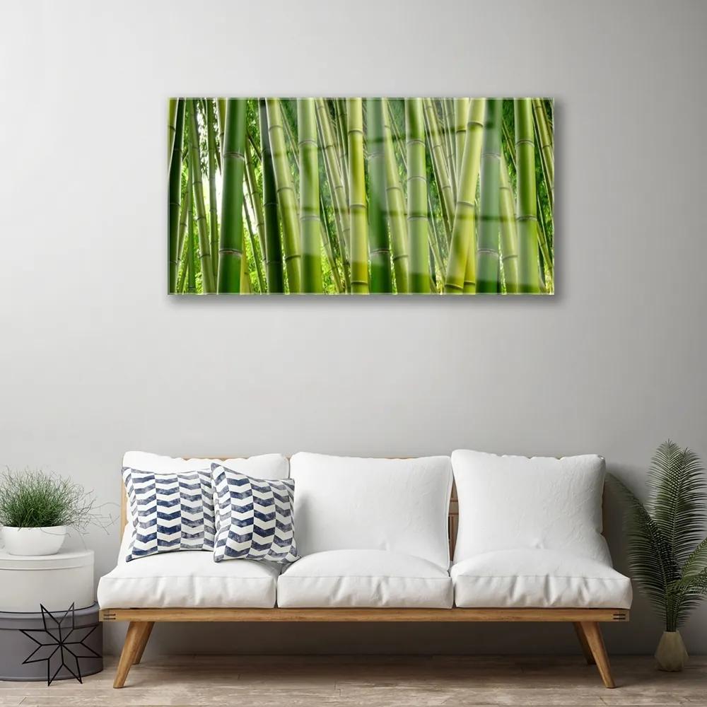 Obraz na skle Bambusový Les Bambusové Výhonky 100x50 cm