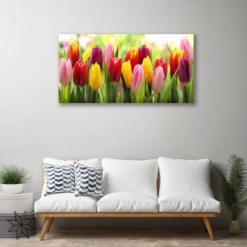 Obraz na plátně Tulipány Květiny Příroda 120x60 cm