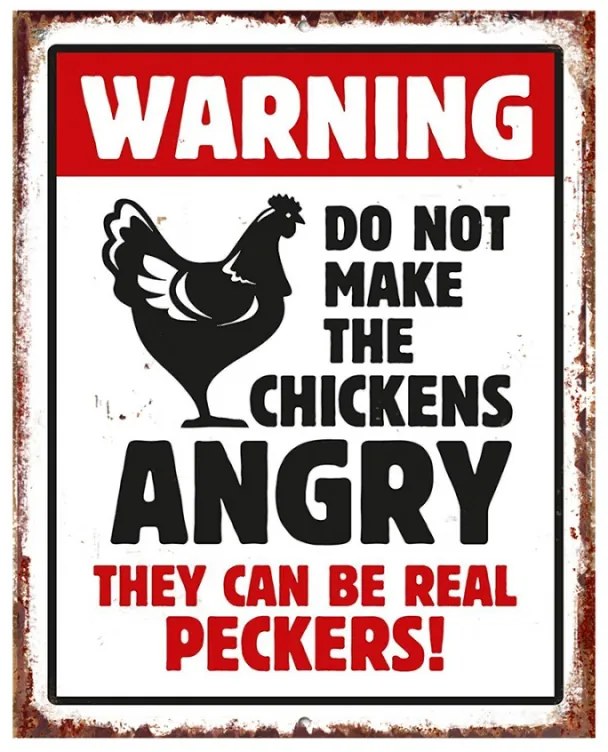 Bílá nástěnná kovová cedule Chickens Angry – 20x1x25 cm