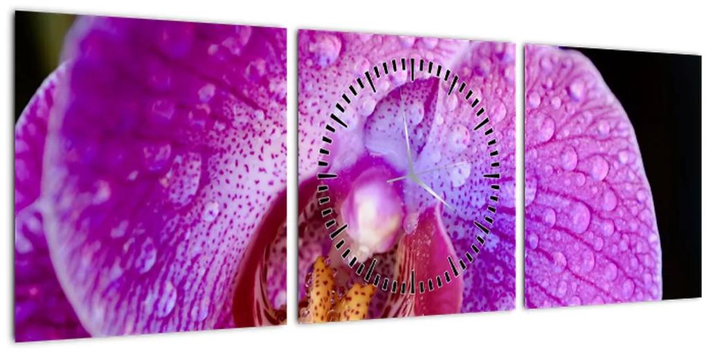 Detailní obraz květu orchideje (s hodinami) (90x30 cm)