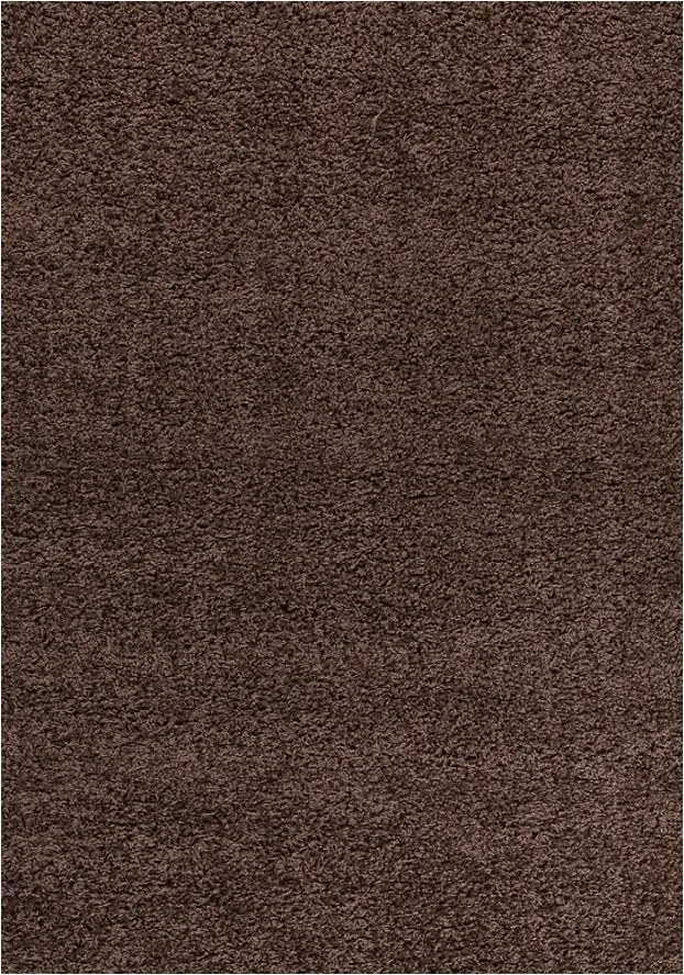 60x110 Kusový koberec Dream Shaggy 4000 brown