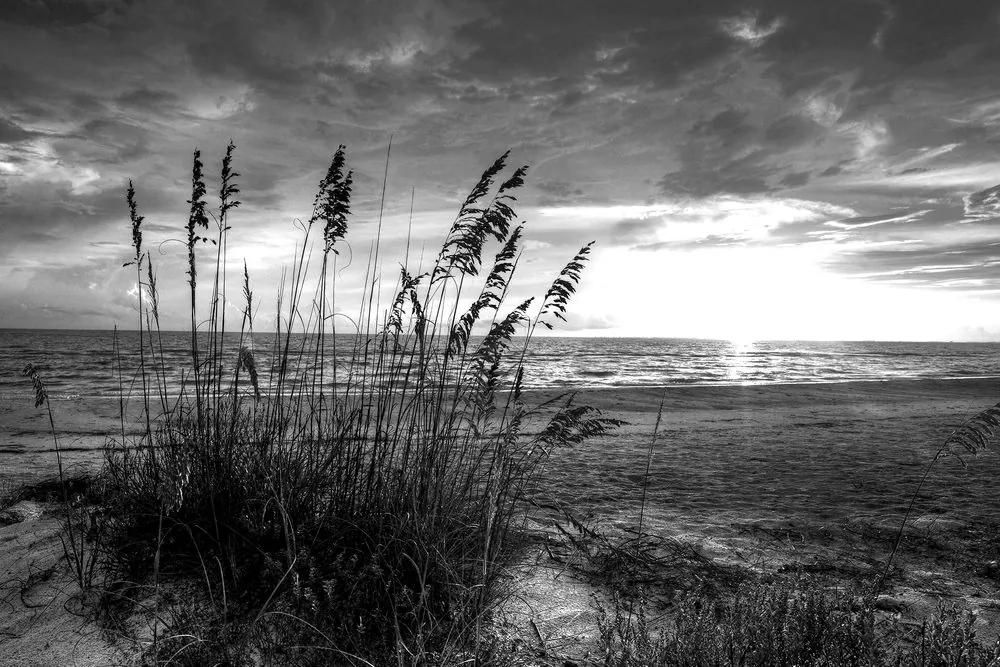 Obraz západ slunce na pláži v černobílém provedení Varianta: 60x40