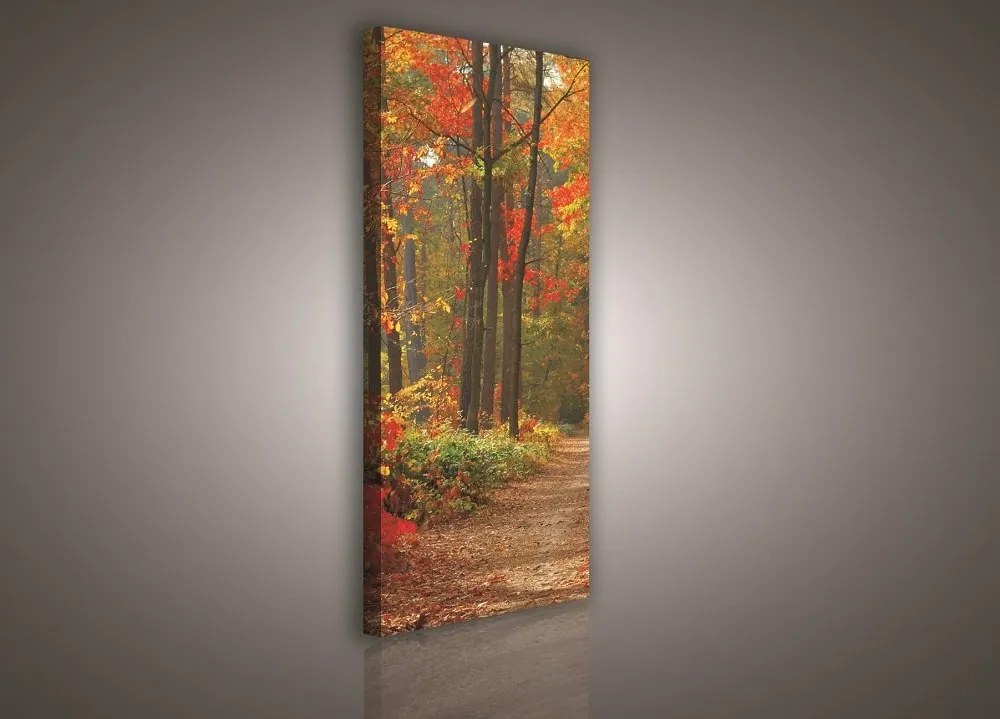 Postershop Obraz na plátně: Podzimní les - 145x45 cm