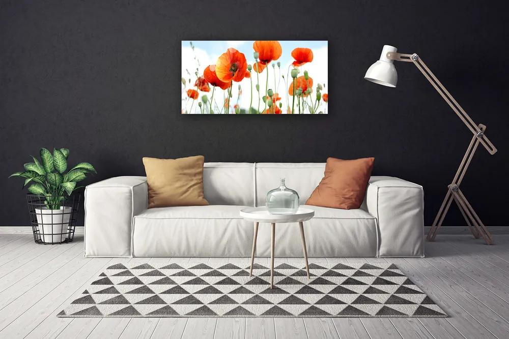 Obraz na plátně Květiny Máky Louka Pole Příroda 120x60 cm