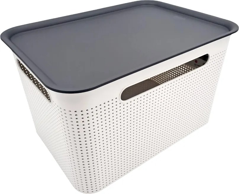 Rotho Úložný box s víkem a s madly BRISEN 16l, 36x26,2x21cm, bílý
