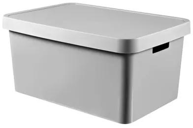 CURVER Úložný box INFINITY 45l s víkem šedý
