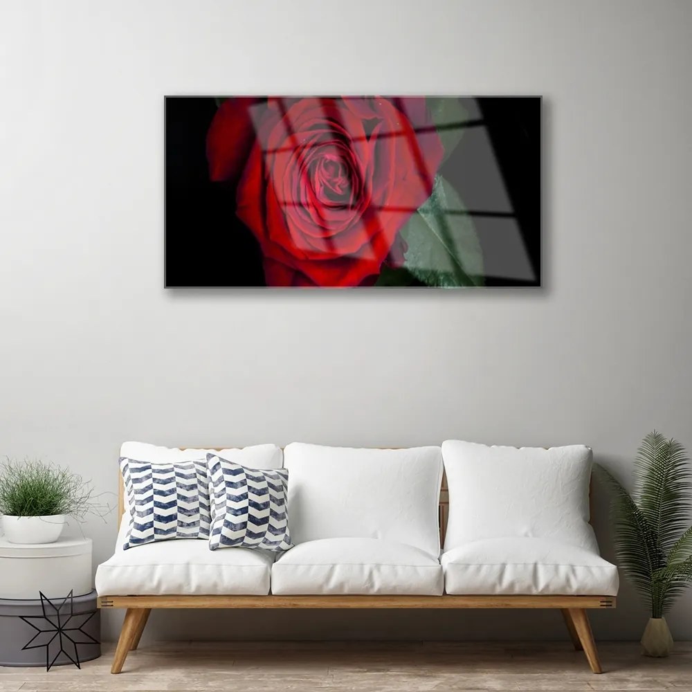 Obraz na skle Růže 140x70 cm