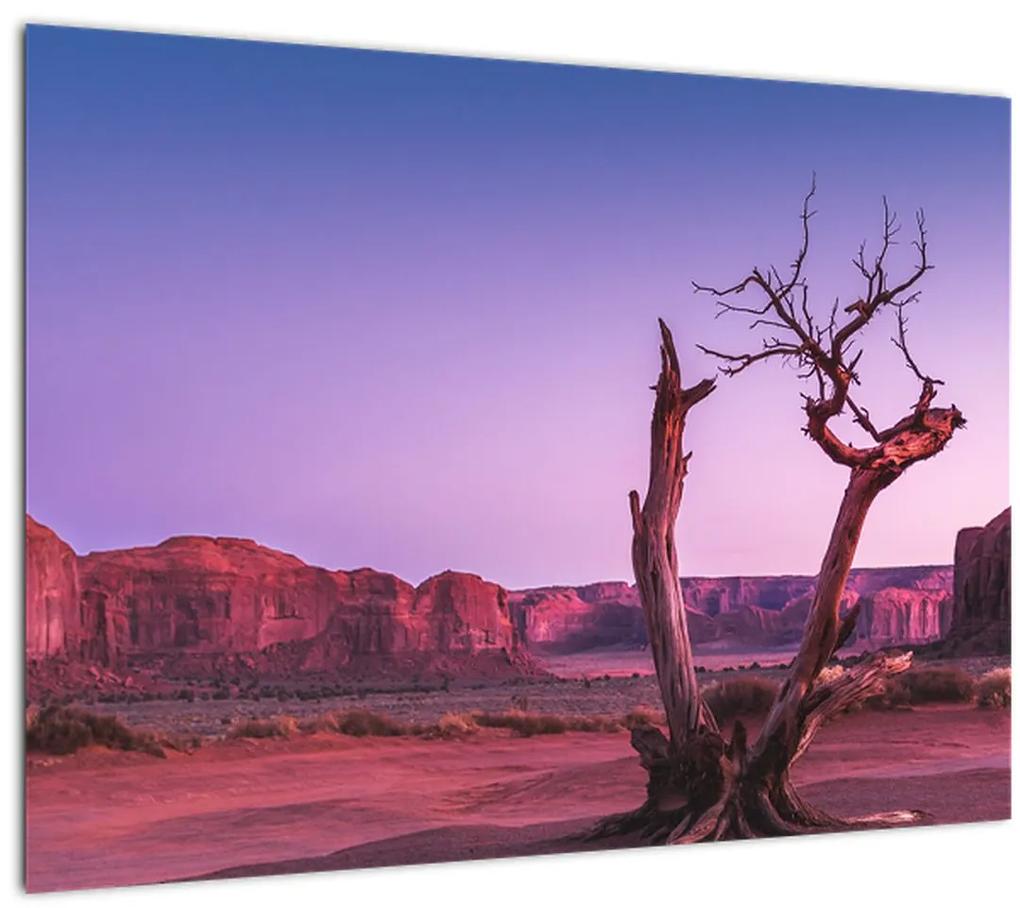 Skleněný obraz stromu u červených skal (70x50 cm)