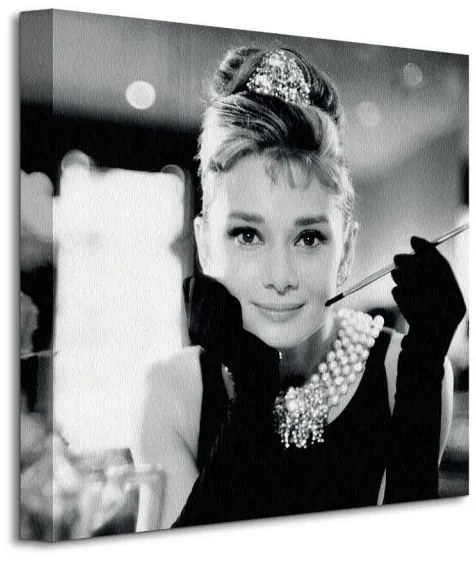 Obraz na plátně Audrey Hepburn (Breakfast at Tiffany s BandW) 40x40cm WDC95141