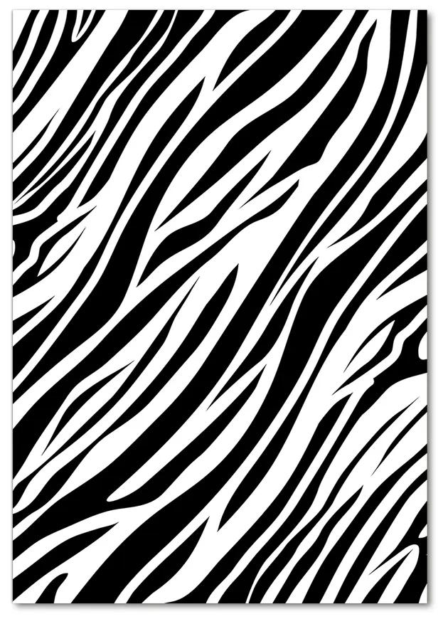Wallmuralia Foto obraz akrylový na stěnu Zebra pozadí 70x100 cm