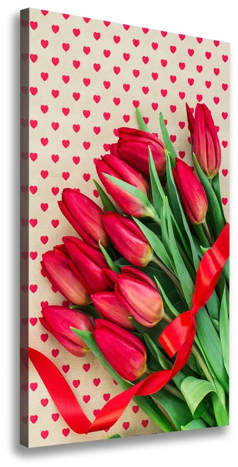Wallmuralia Foto obraz na plátně Červené tulipány 60x120 cm