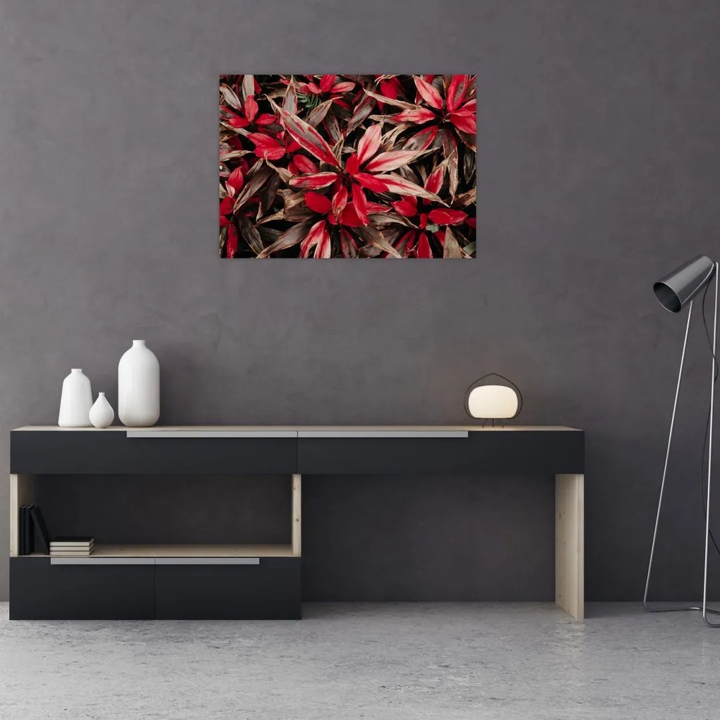 Skleněný obraz červených okvětních lístků (70x50 cm)