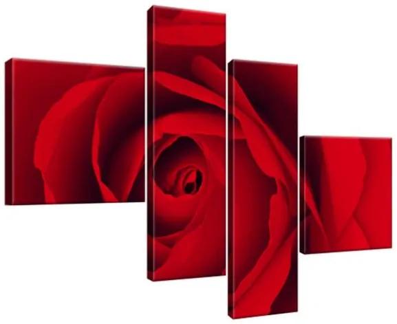 Tištěný obraz Úžasná červená růže 100x70cm 2211A_4B