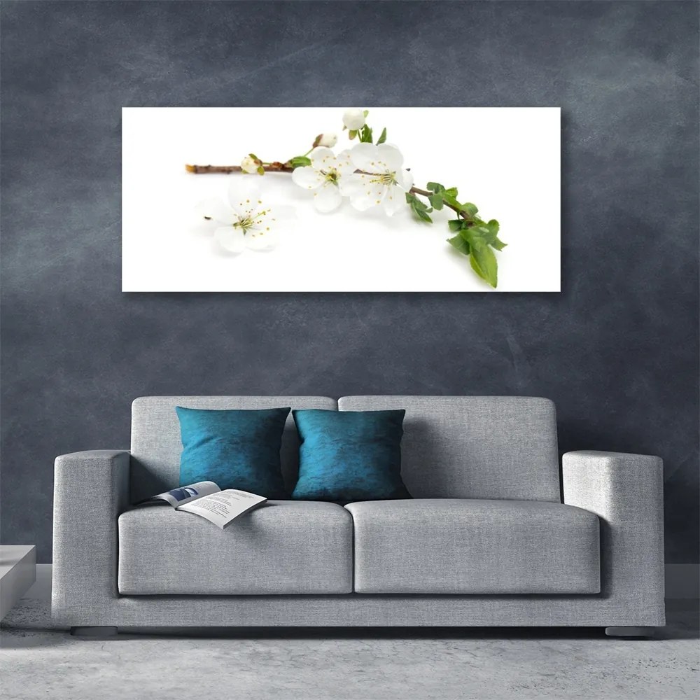 akrylový obraz Květ Větev Příroda 125x50 cm