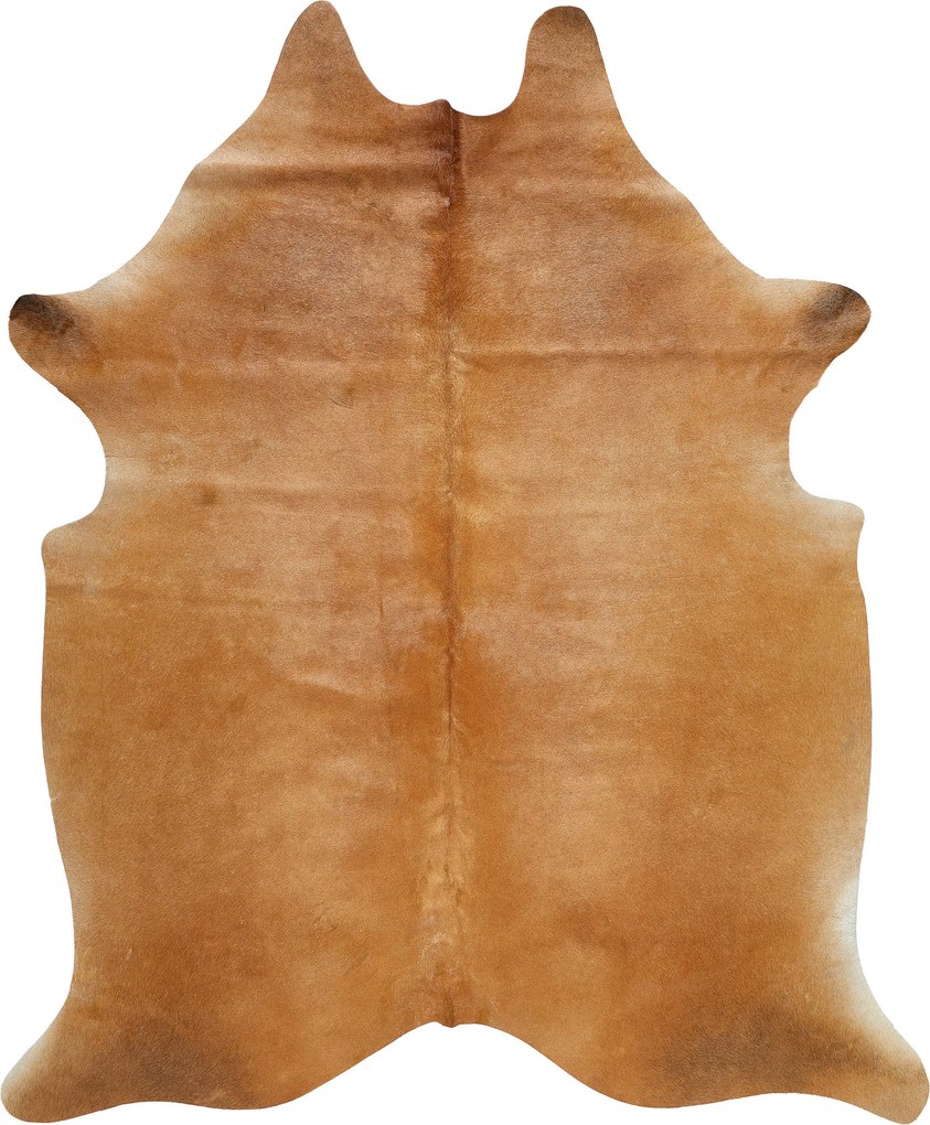 XXXLutz HOVĚZÍ KOŽEŠINA, 160/250 cm, hnědá Linea Natura - Online Only koberce & rohožky - 006200006067