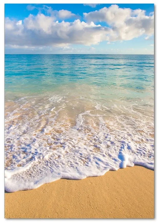 Wallmuralia Foto obraz skleněný svislý Tropická pláž 70x100 cm