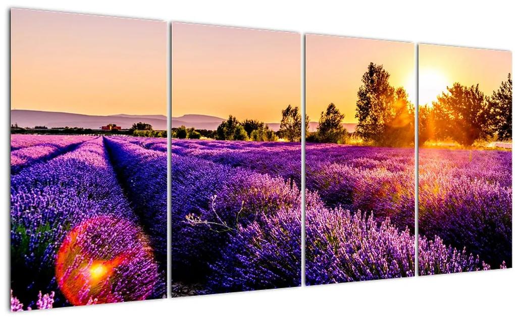 Obraz levandulového pole, Provence (160x80 cm), 40 dalších rozměrů